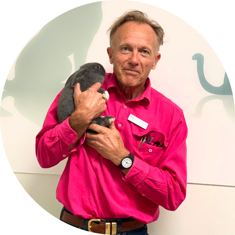 Vet team - Geelong Animal Welfare Society