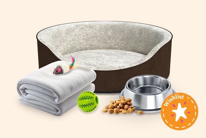 Geelong Animal Welfare Society