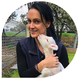 Vet team - Geelong Animal Welfare Society